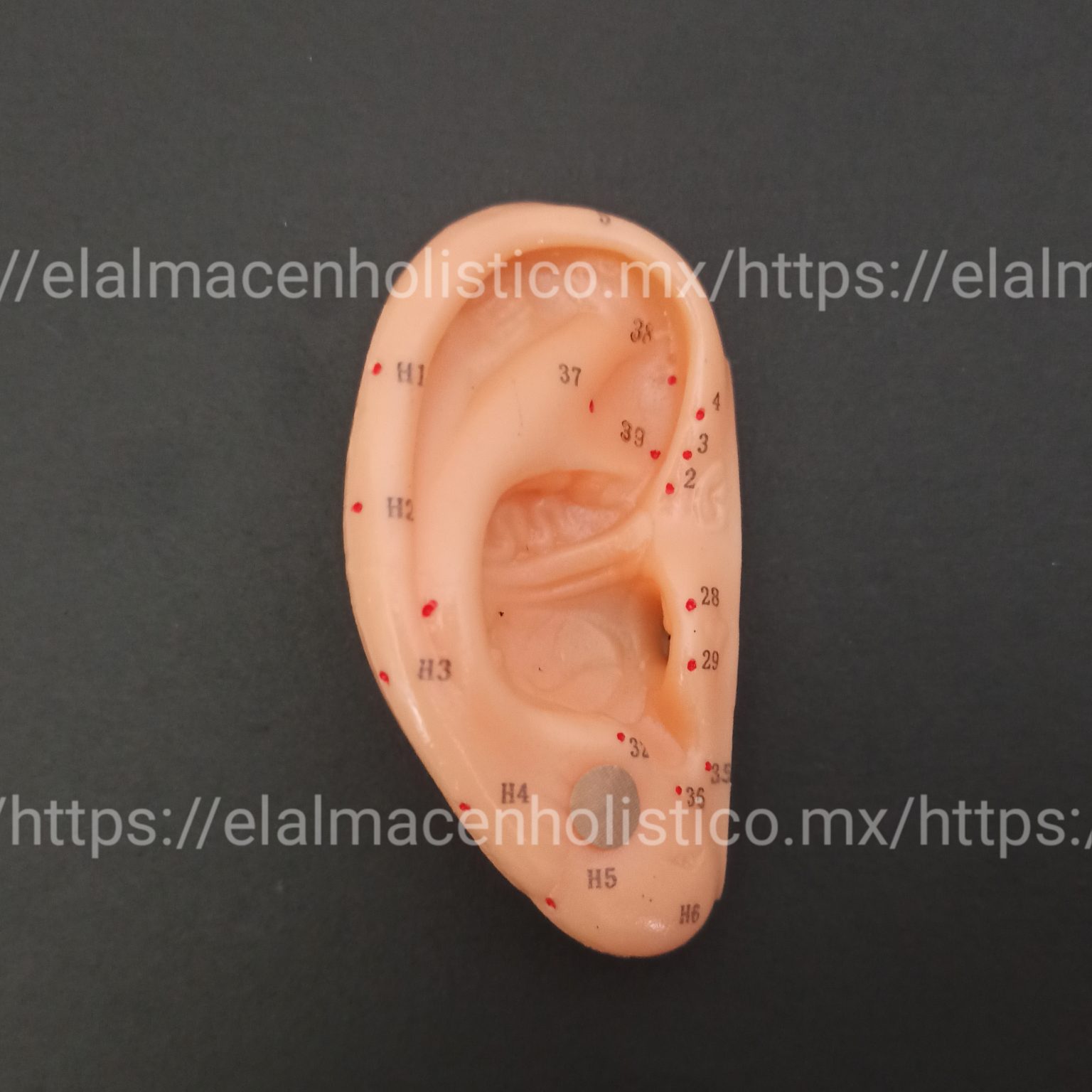 BALINES – El Almacén Holístico
