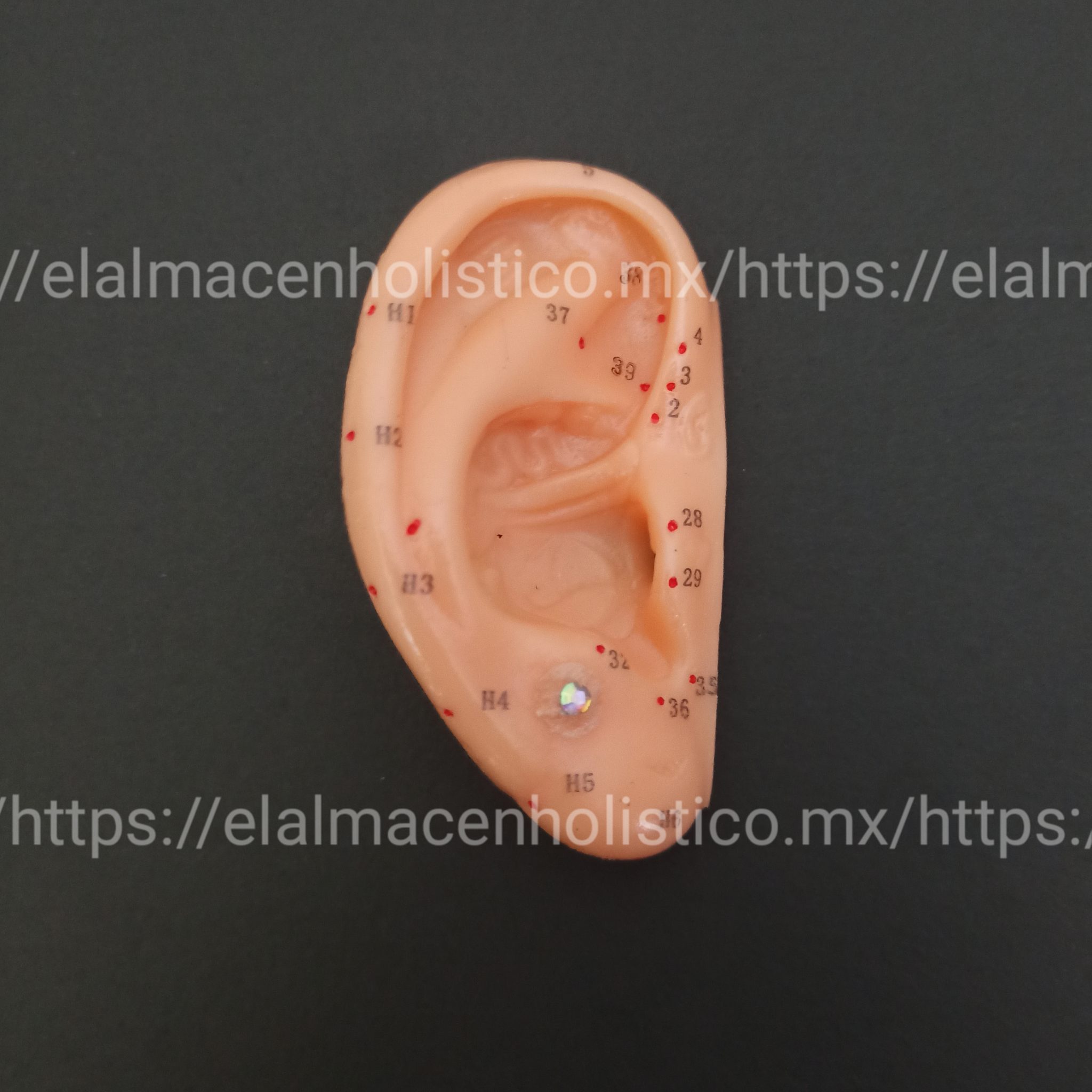 BALINES – El Almacén Holístico